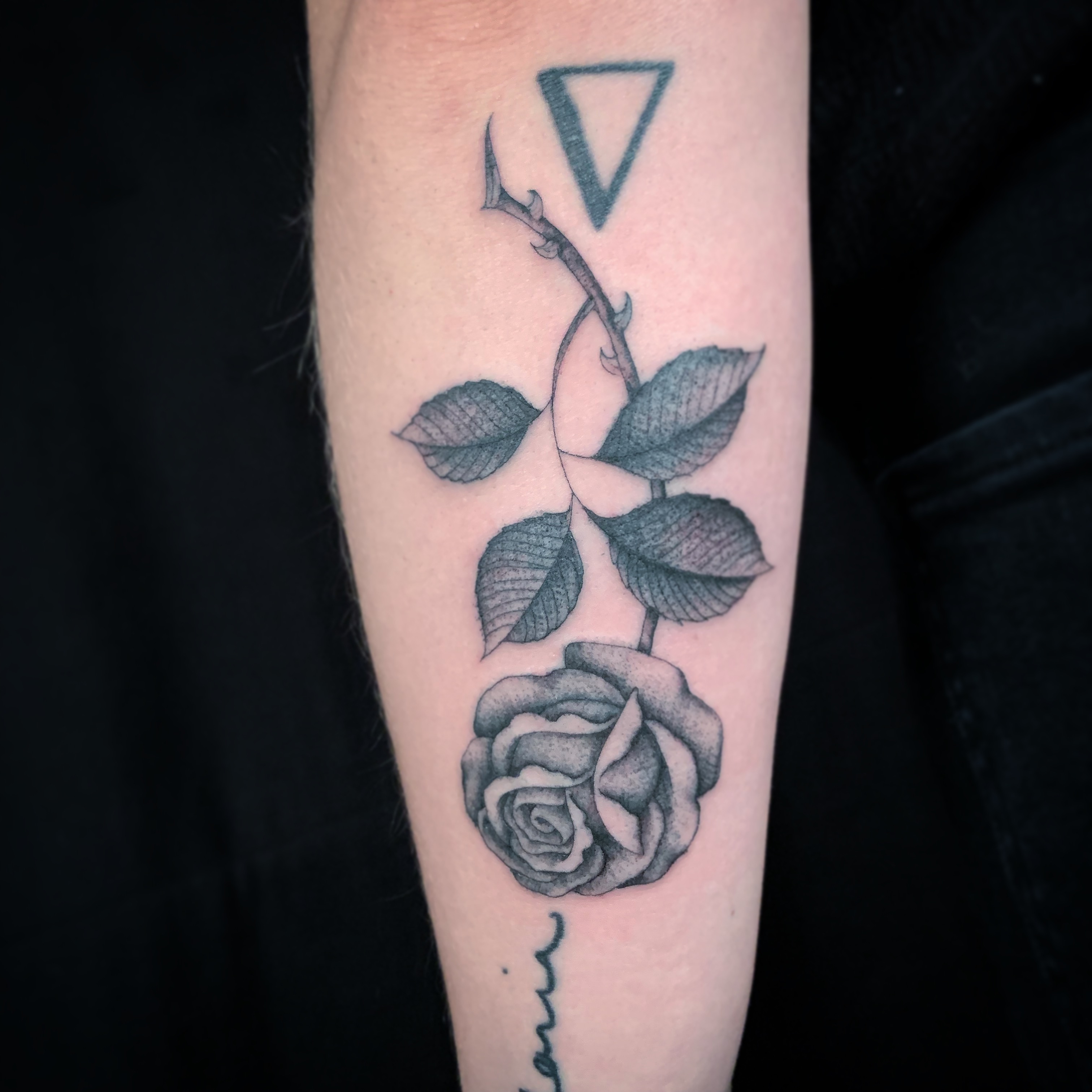 Haley McMahon – Dedication Tattoo