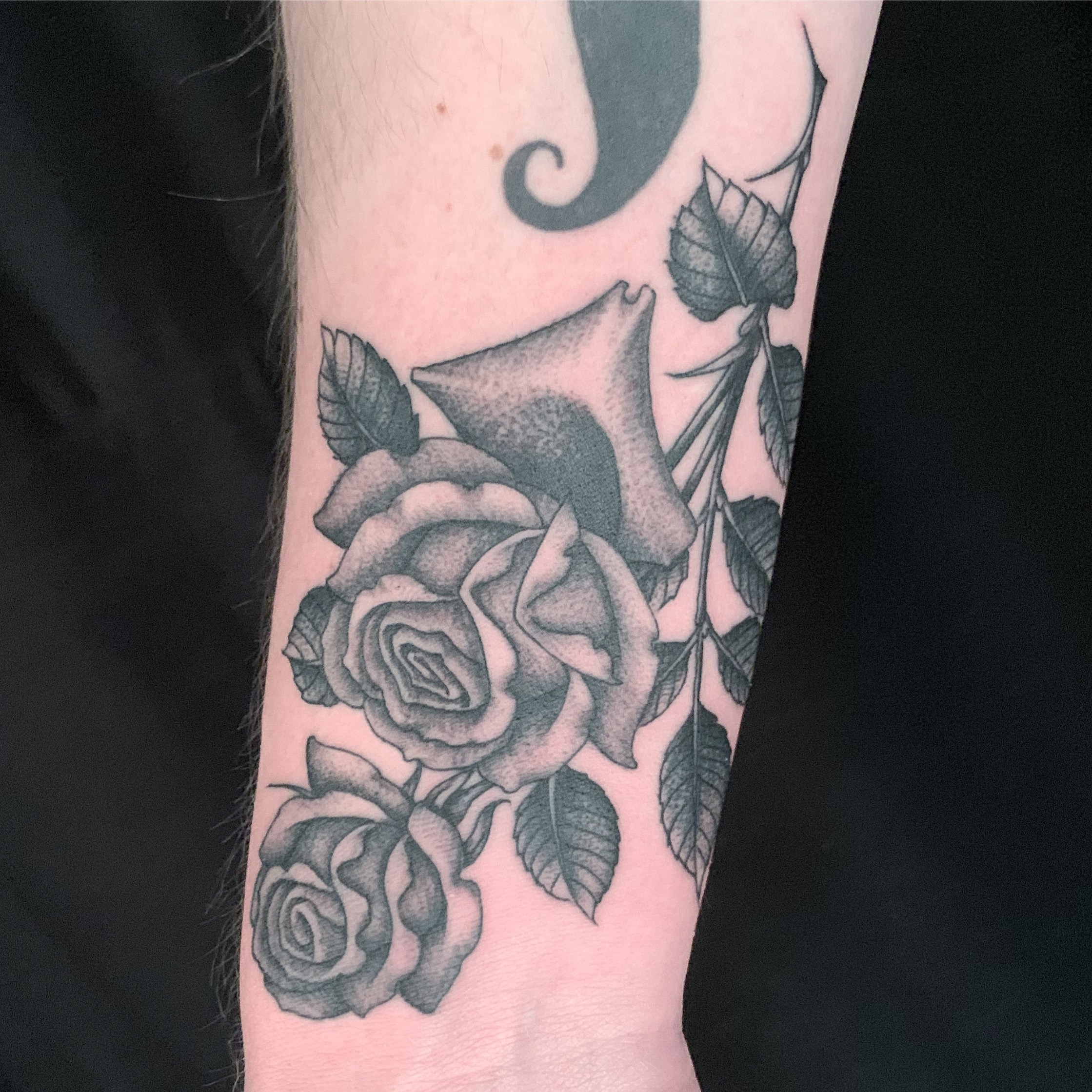 Haley McMahon - Dedication Tattoo