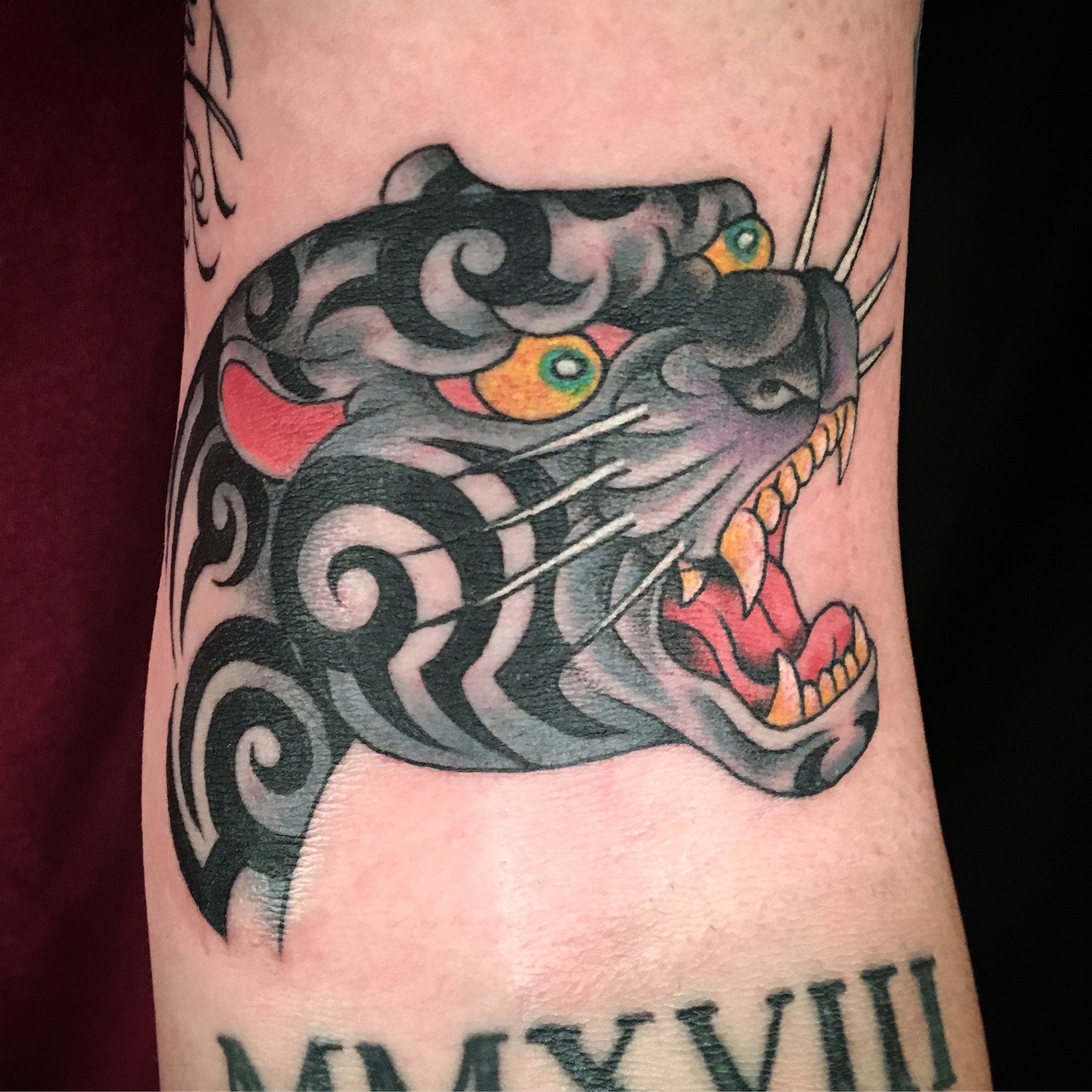Haley McMahon - Dedication Tattoo